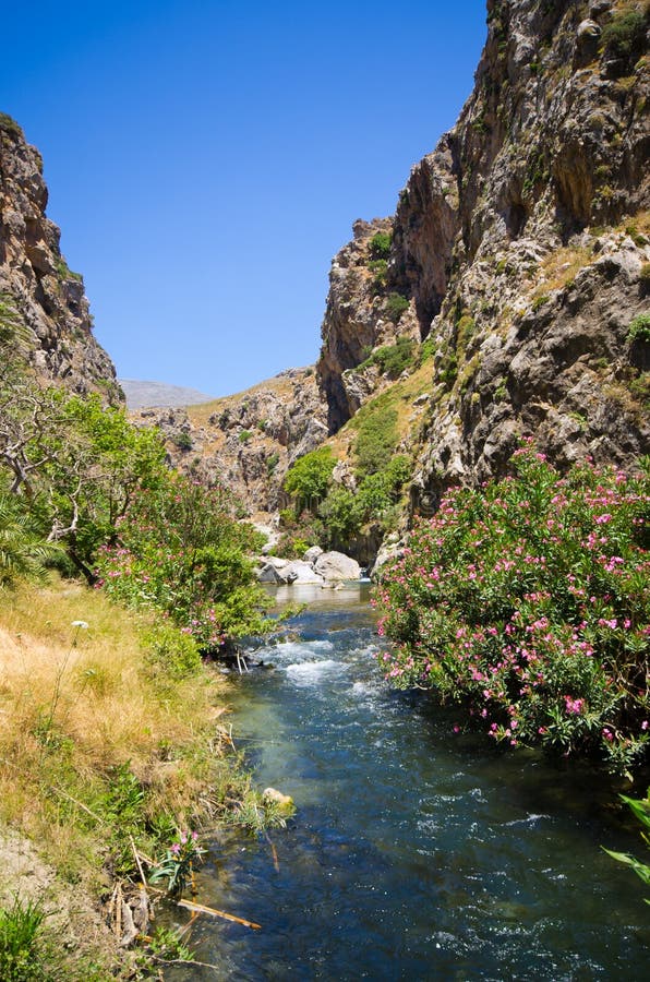 Palm Forest Preveli on Crete Island, Greece Stock Image - Image of rock ...