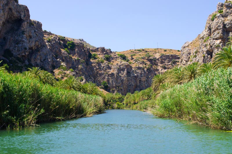 Palm Forest Preveli on Crete Island, Greece Stock Image - Image of rock ...