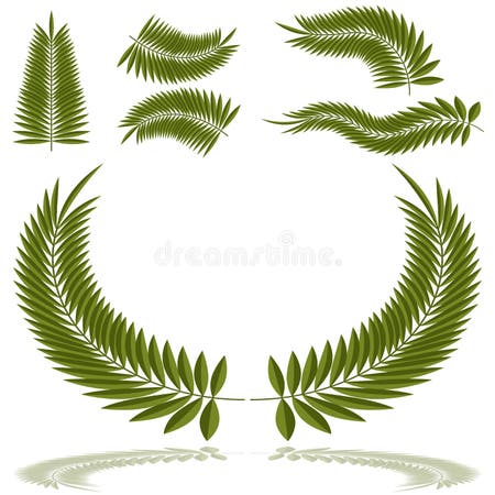 Palm Frond Clip Art Stock Illustrations – 704 Palm Frond Clip Art Stock ...
