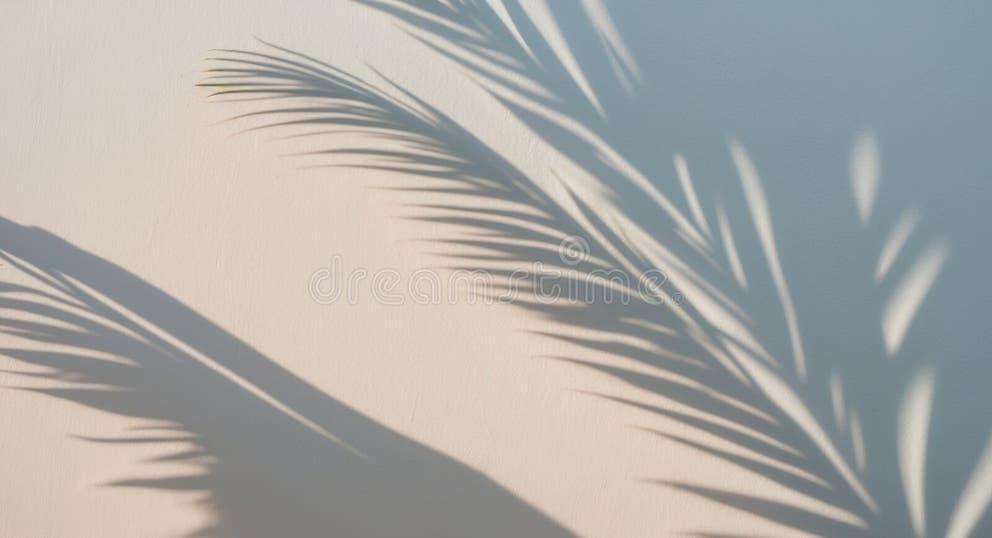 Palm Fronds Cast Shadows on a Light Blue Wall. Stock Photo - Image of ...
