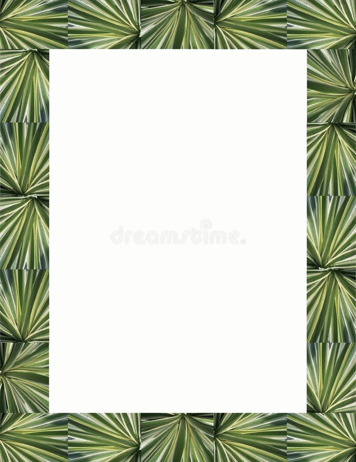 Palm Fronds Frame & Border Stock Illustration - Illustration of palm ...