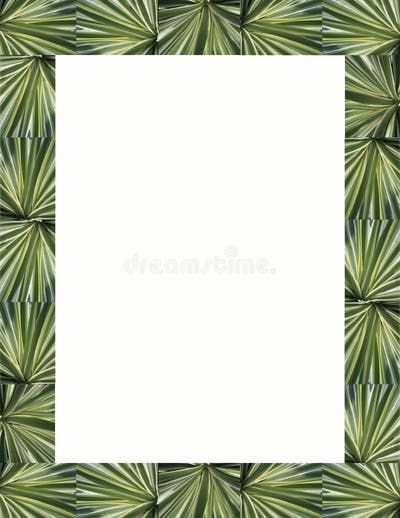 Environmental Border Stock Illustrations – 10,918 Environmental Border ...