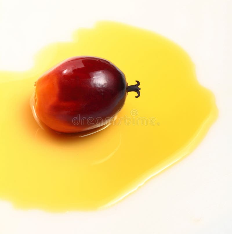 Oil Palm Fruit and Cooking Oil Stock Image - Image of nature, material ...