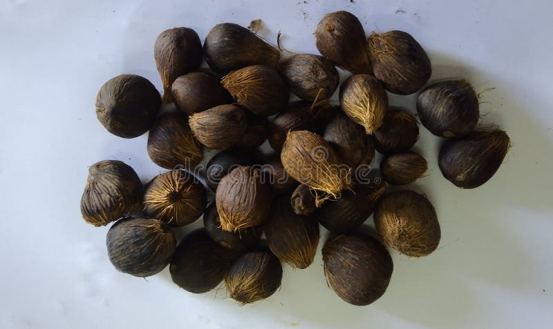 695 Palm Kernel Plantation Stock Photos - Free & Royalty-Free Stock ...