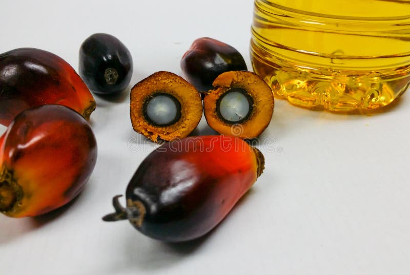 Palm Fruits and Palm Oil, One Fruit is Cut Show Kernel Stock Photo ...