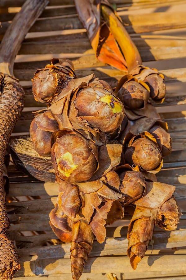 Palm fruits stock photo. Image of burmese, village, country - 31319028