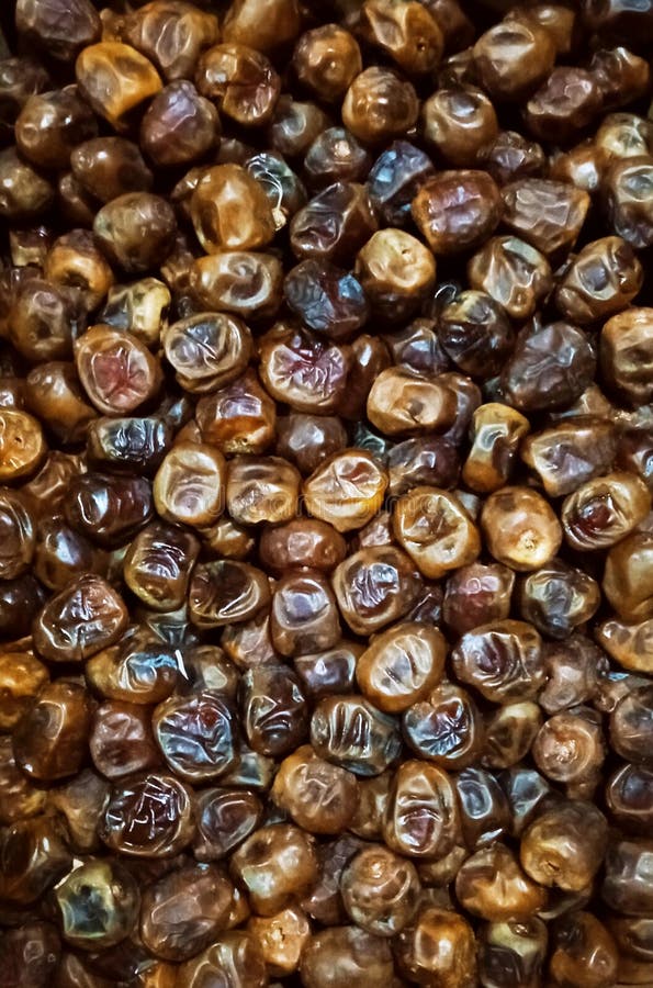 Palm Fruits Sukari Arabic Fruit Stock Image - Image of sukari, arabic ...