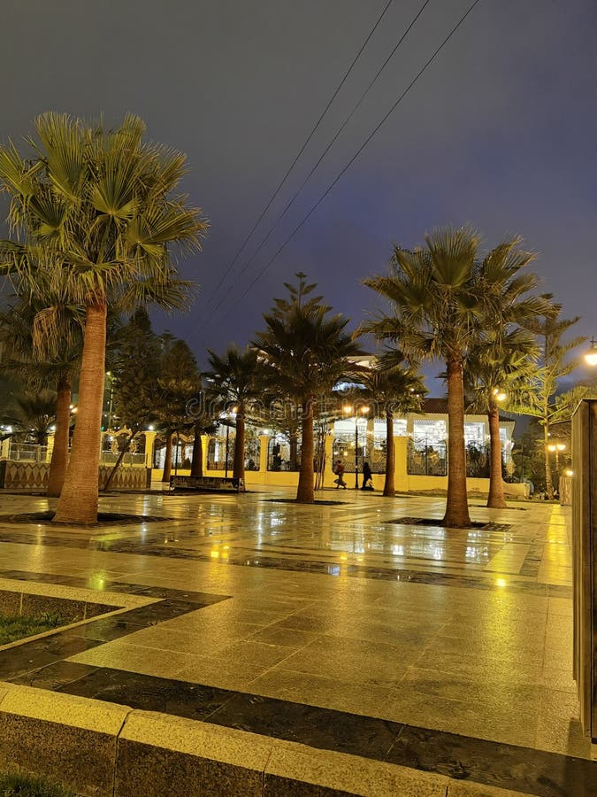 Palm Gardens in Abha Saudi Arabia Stock Photo - Image of gardens, palm ...