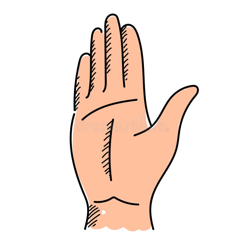 Palm of the Hand Vector Isolated Stock Vector - Illustration of flat ...