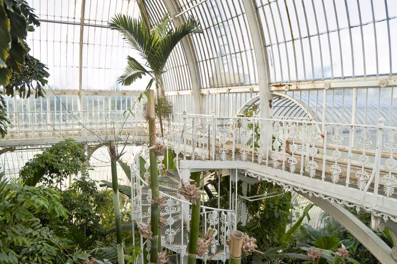 Palm House, Kew Gardens, London Stock Photo - Image of glass ...