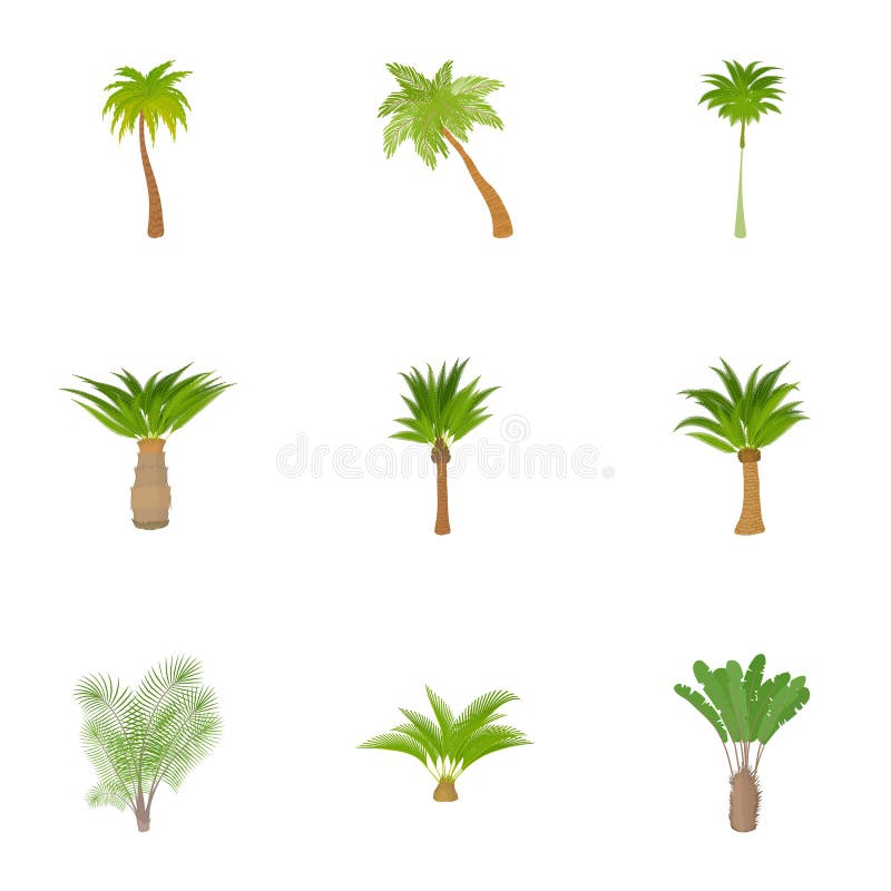 Palm Icons Set, Cartoon Style Stock Vector - Illustration of palma ...