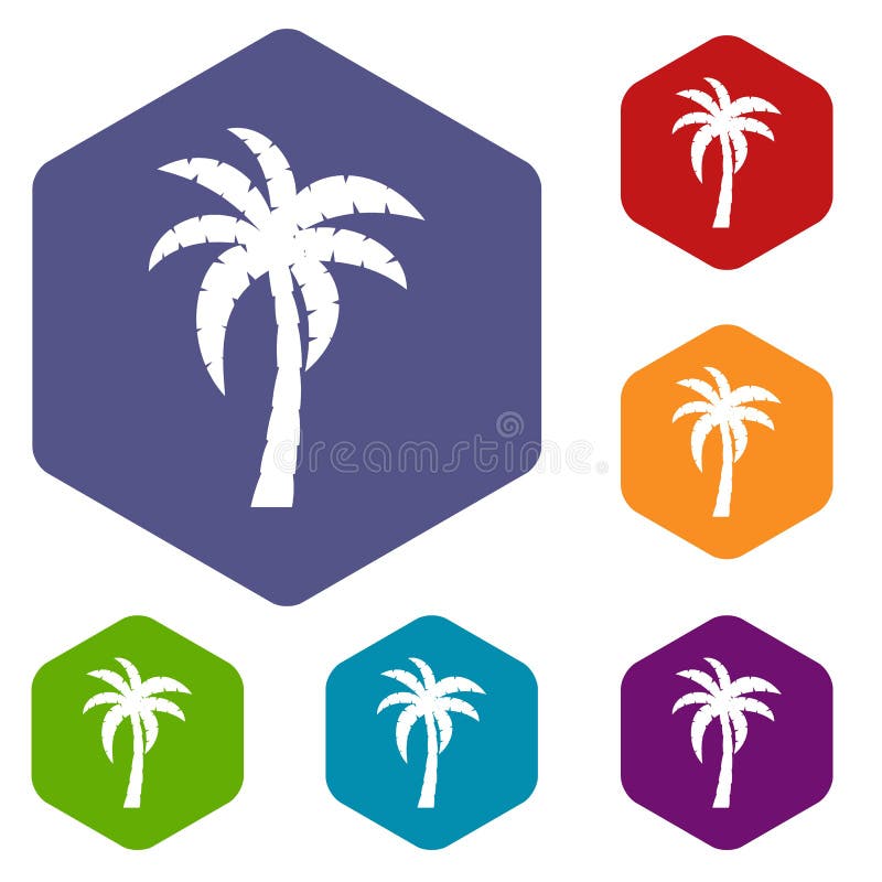 Palm icons set hexagon stock vector. Illustration of idyllic - 91691841