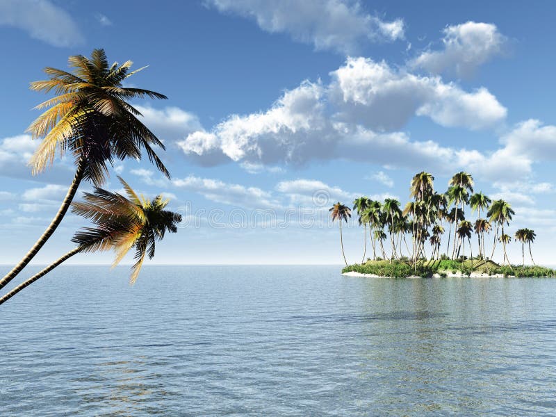 Palm Island Picture. Image: 5451336