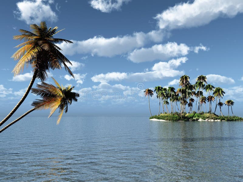 Palm Island Picture. Image: 5530901