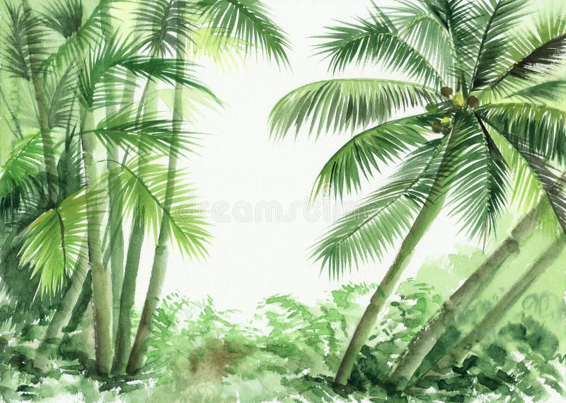 Palm jungle stock illustration. Illustration of green - 37819556
