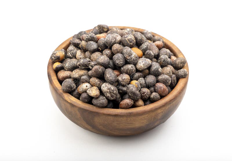 Dry Palm Kernel Fruits Shot in White Background Stock Image - Image of ...