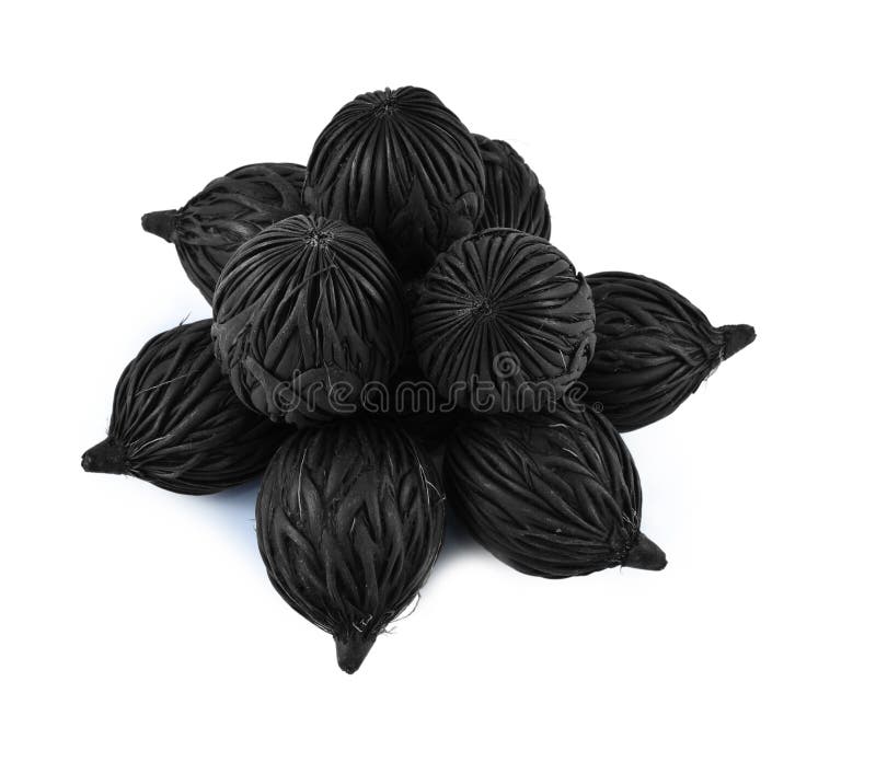 Palm Kernel Seed stock image. Image of harvested, seed - 5076497