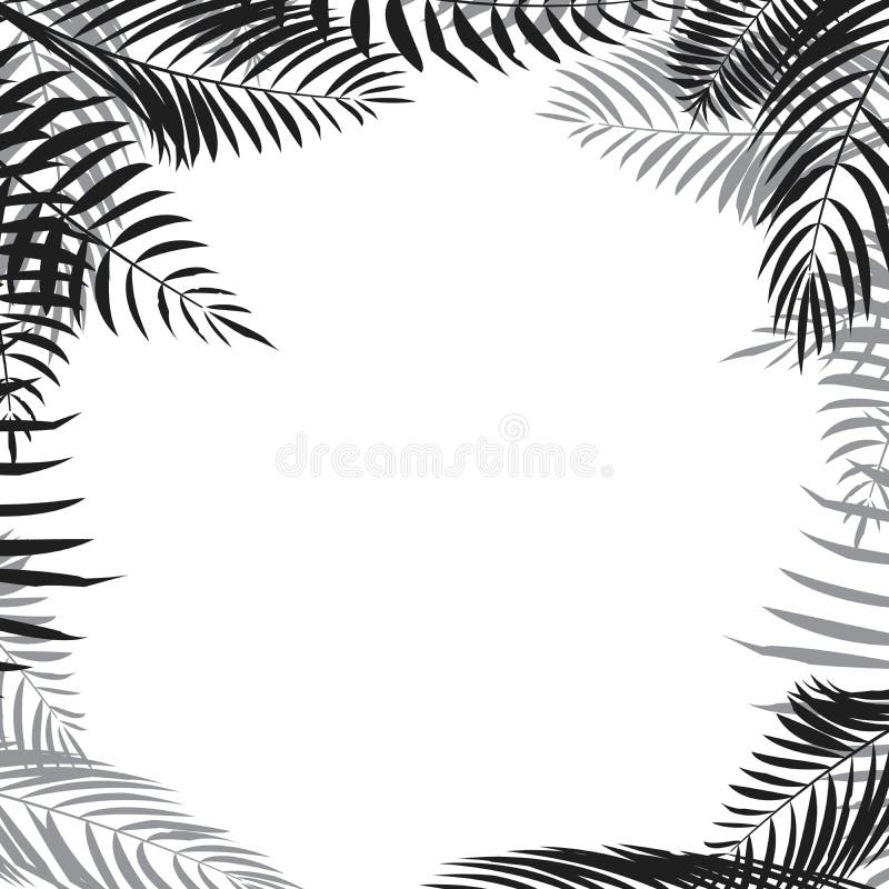 Palm Leaf Border Vector. stock vector. Illustration of nature - 98906201