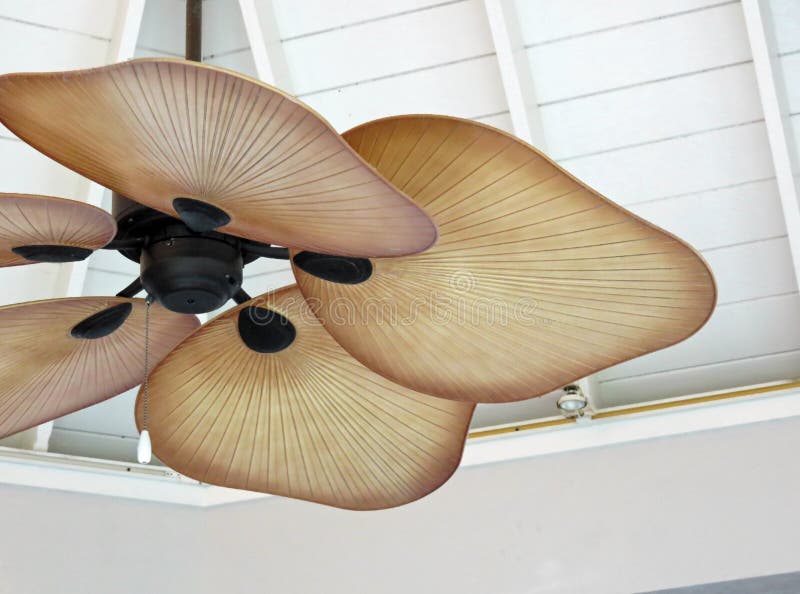 Tropical Palm Leaf Ceiling Fan Stock Photo - Image of tropic, spinning ...
