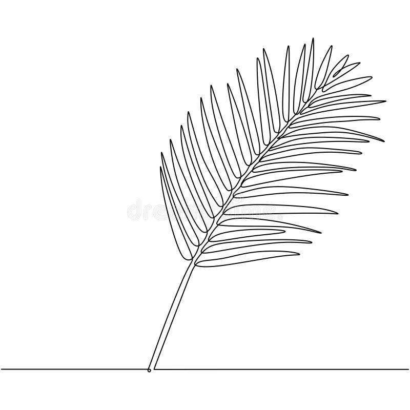 Palm Leaf Line Drawing Stock Illustrations – 19,889 Palm Leaf Line ...