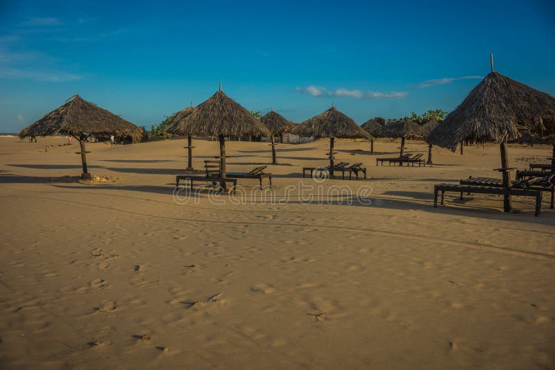 Palm Leaf Parasols on Beach in Malindi in Eastern Kenya Stock Photo ...