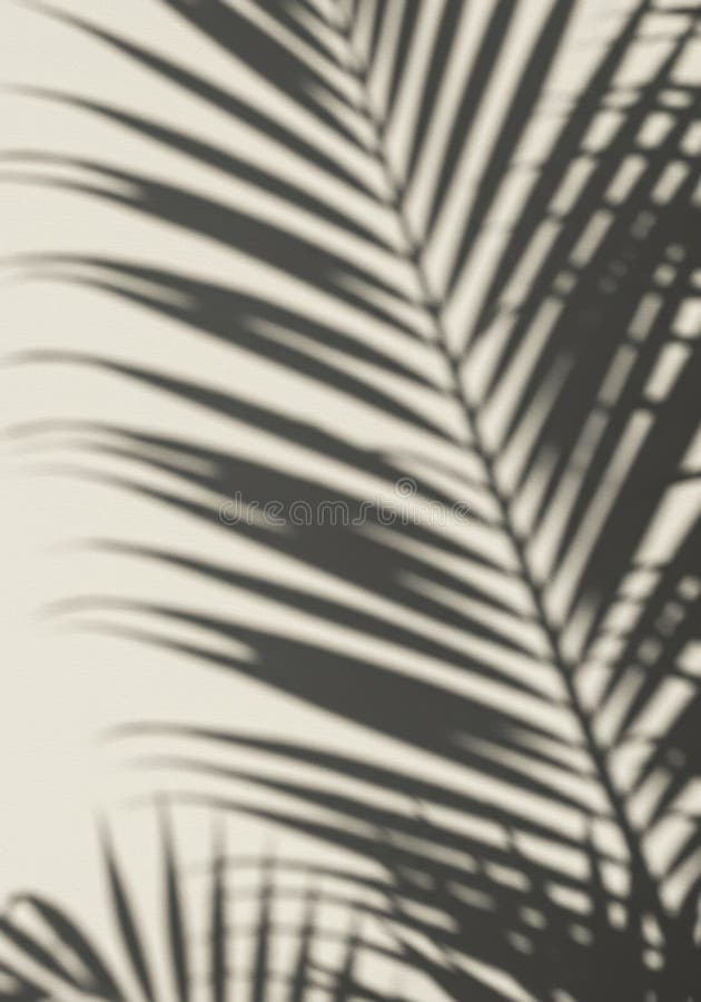 Palm Leaf Shadow on Textured Wall Stock Illustration - Illustration of ...