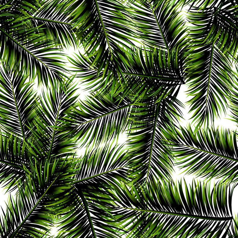 Palm Leave Seamless Pattern Texture Design Stock Illustration ...