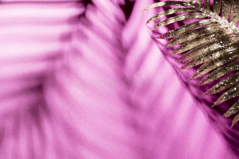 Palm Leaves and Shadows on a Color Wall Background. Stock Image - Image ...