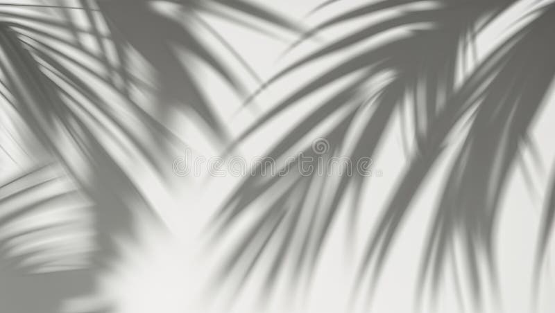 Palm Leaves Shadows Creating Relaxing Tropical Summer Pattern on White ...