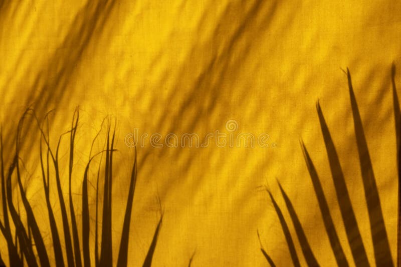 Palm Leaves Silhouette Shadows on Yellow Textured Fabric Stock Photo ...