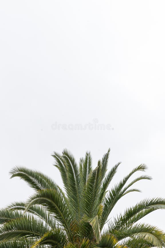 Fondos De Tarjeta Stock Photos - Free & Royalty-Free Stock Photos from ...