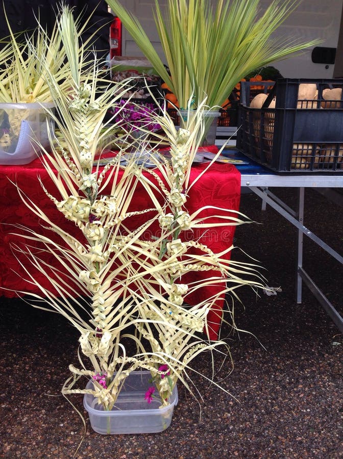 Palm leaves stock image. Image of tree, tradition, palm - 39719227