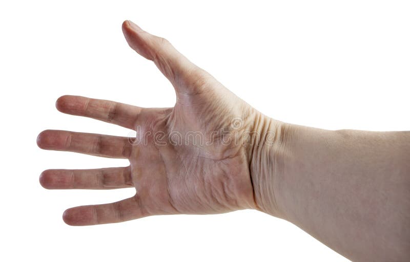 Palm. Man Hand with Clipping Path. Stock Photo - Image of male ...