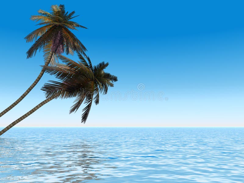 Palm morning stock illustration. Illustration of ocean - 1714656