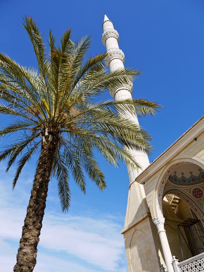 Palm and mosque, Turkey stock photo. Image of cappadocia - 30433448
