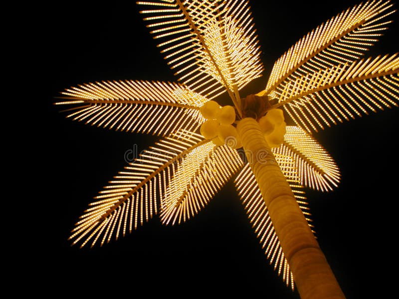 Palm night light stock photo. Image of egipt, palm, modern - 20425996