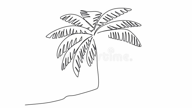 Palm Tree. One Line Drawing Animation with Alpha Channel. Stock Video ...