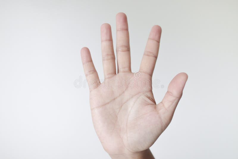 Palm stock photo. Image of finger, hand, symbol, nose - 365973500