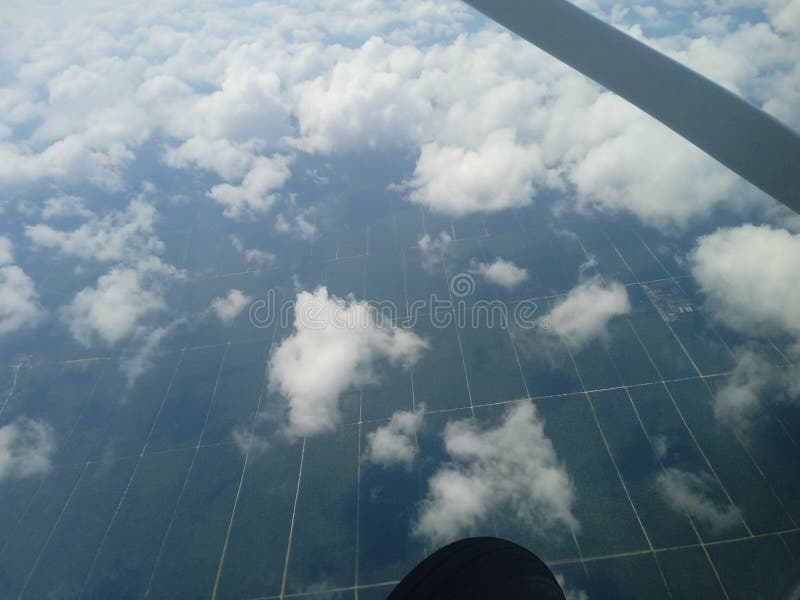 Palm Plantation Area Seen from Above Stock Photo - Image of advanture ...
