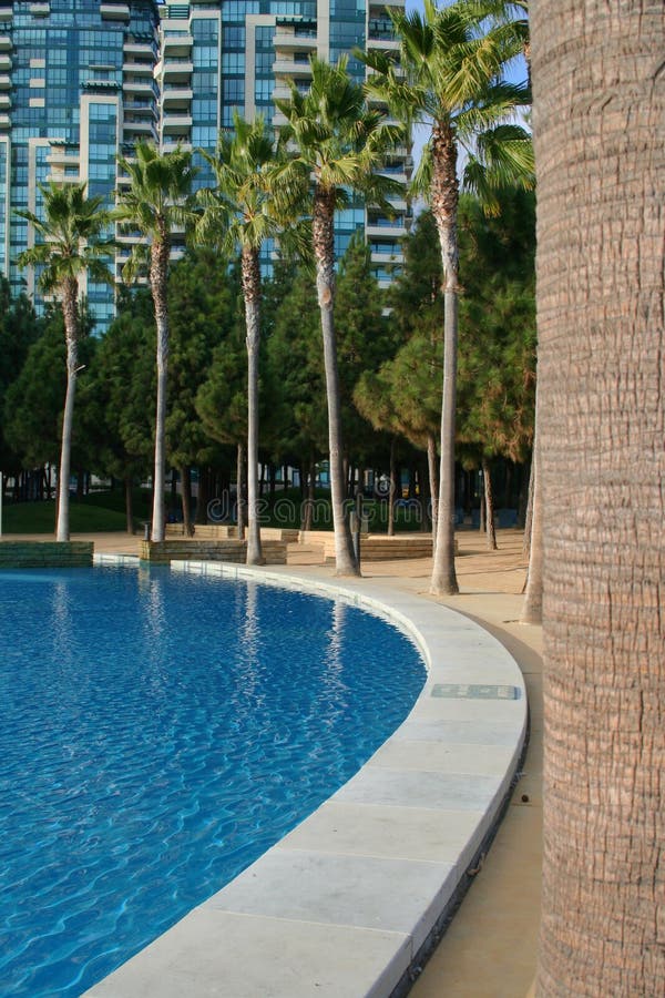 Palm Pond stock photo. Image of reflect, diego, pool - 21698152