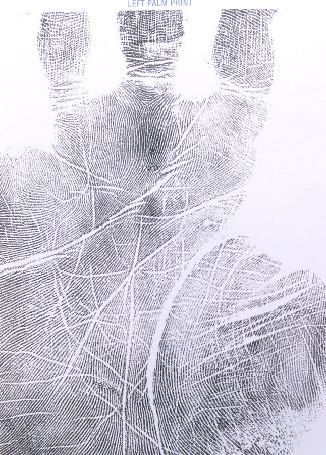 Palm print. stock image. Image of fingerprints, police - 2893349