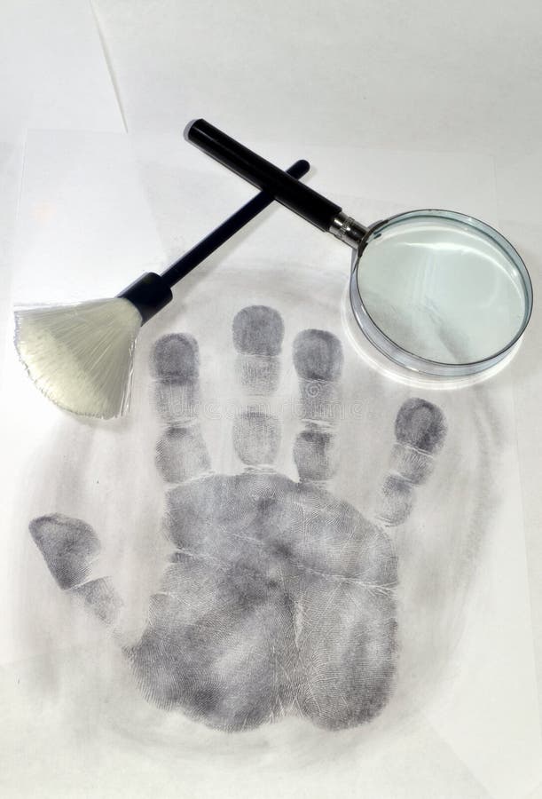 Palm print stock photo. Image of palm, development, fingerprint - 46176564