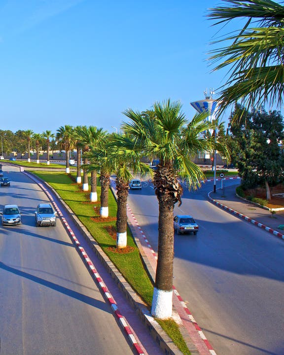 Palm and road editorial stock photo. Image of exotic - 28314238