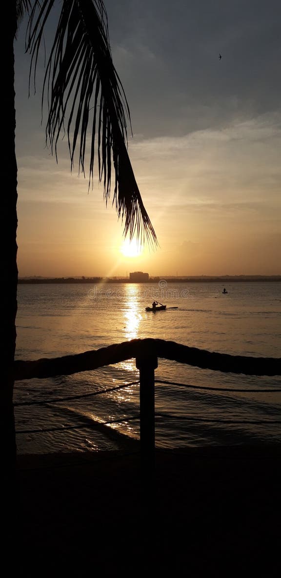 Palm Rope and Golden Sunset Stock Photo - Image of rope, black: 224828694