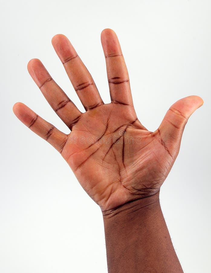 204 Open Palm Hand Fingers Spread Stock Photos - Free & Royalty-Free ...