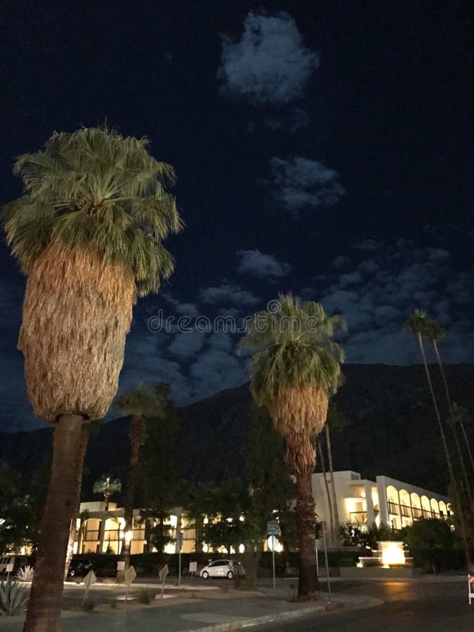 Palm Springs at Night stock photo. Image of springs - 221670000