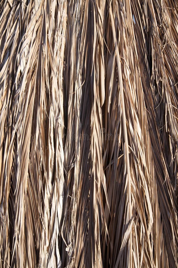 Palm Straw wall stock image. Image of tradition, background - 12761459