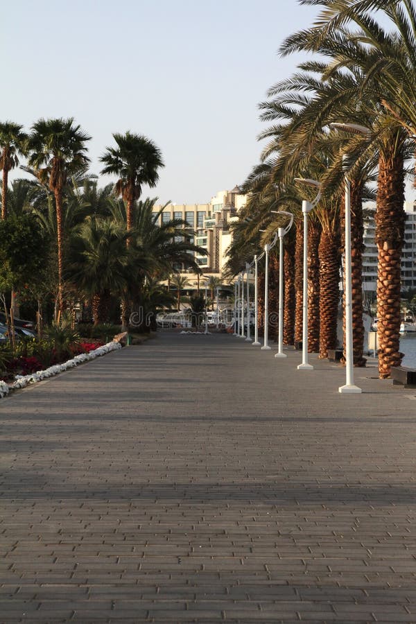 Palm street on sunset stock image. Image of spending - 51190999