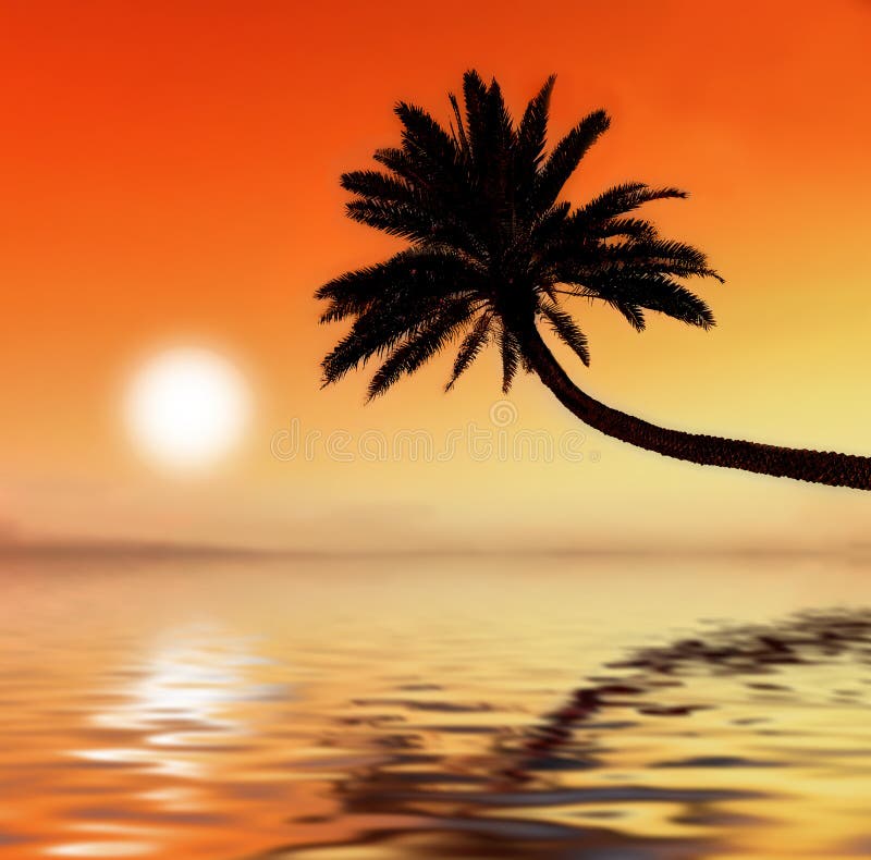 Sunset stock image. Image of background, island, indonesia - 1837589