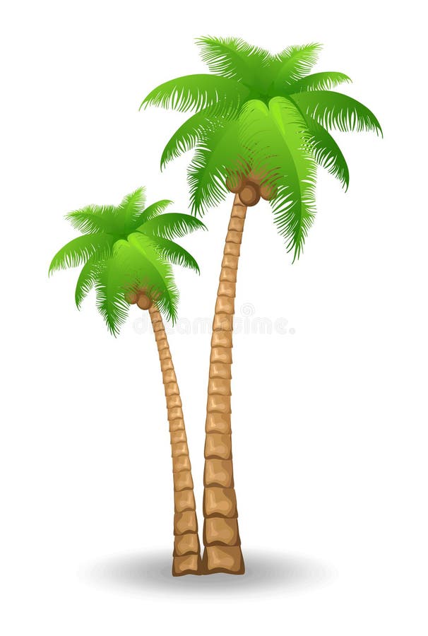 Palm tree stock vector. Illustration of palm, vector, palms - 2556219